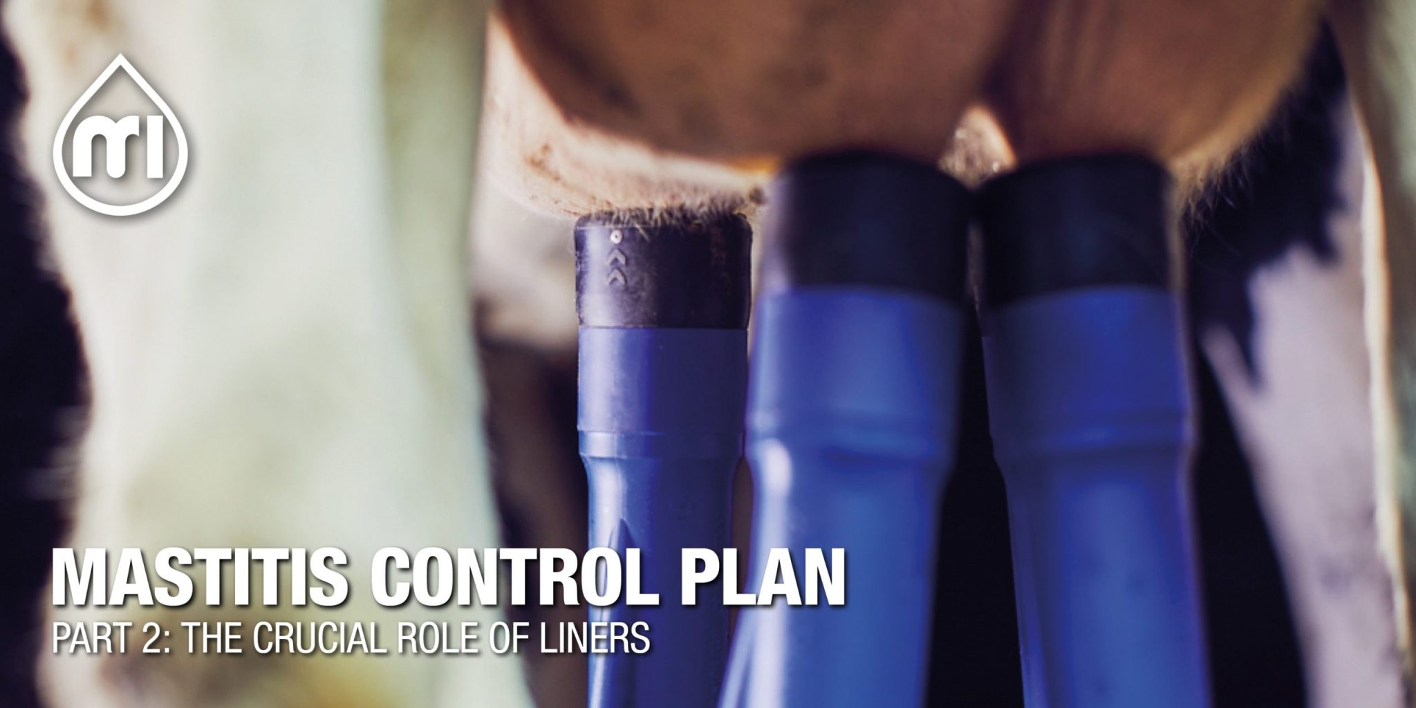 Mastitis Control Plan part 2: the crucial role of liners - Poultry ...