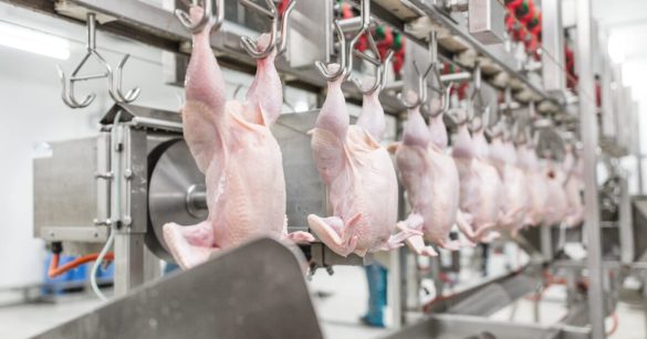 U.S. to invest $500 million to strengthen meat, poultry processing ...