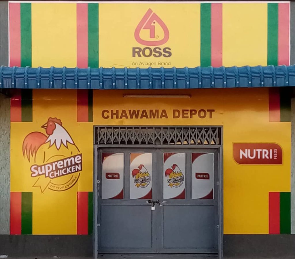 Zambia’s First choice for Broiler Chicken, Ross Breeders, partners with ...