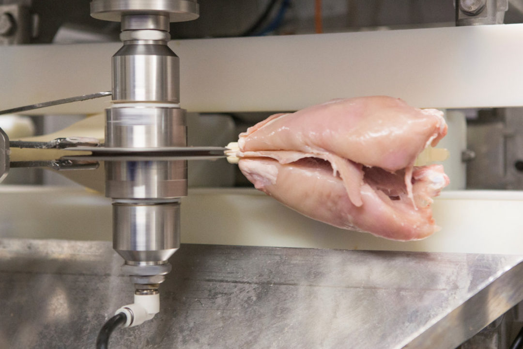 Poultry Processing Tech: Smarter processing – Poultry & Livestock ...