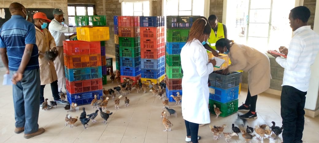 Nakuru In Drive To Unlock The Untapped Poultry Sub Sector Potential ...