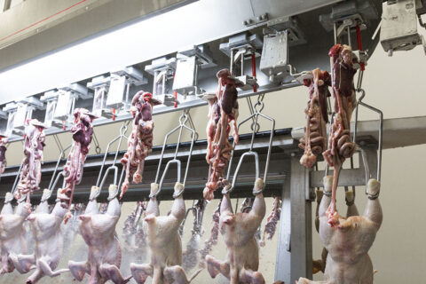 De Heus Kenya Launches Africa’s Largest Feed Mill to Strengthen ...