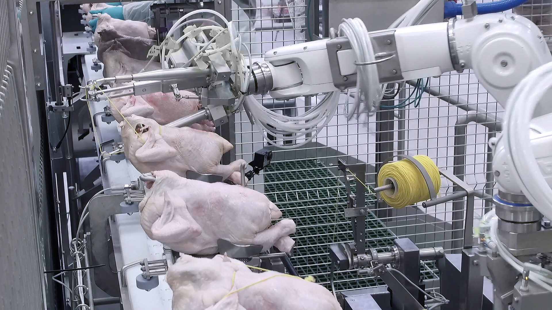 Poultry tech awarded – Poultry & Livestock Review Africa