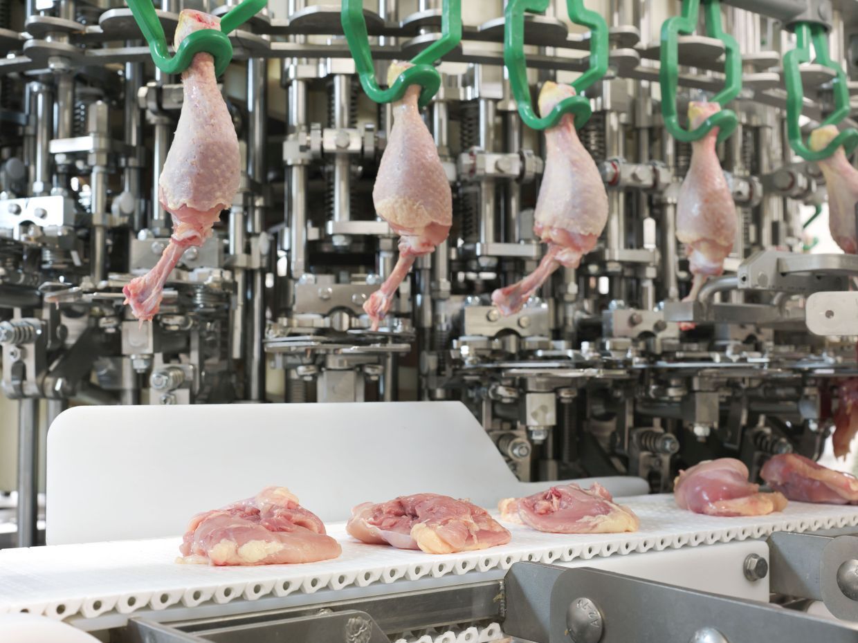 Meyn launches new Physic In-Line Thigh Deboner M1.0 – Poultry & Livestock Review Africa