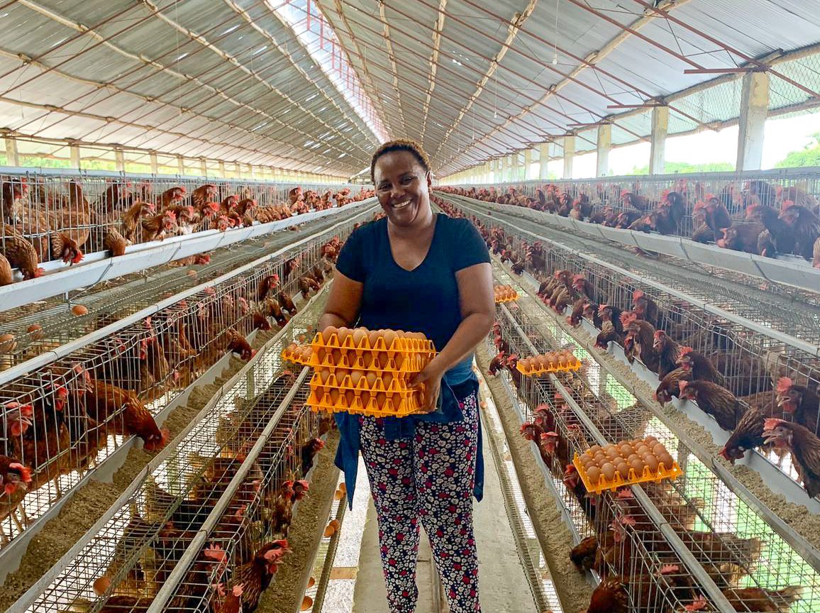 World Poultry Foundation Celebrates a Decade of Impact: Transforming ...