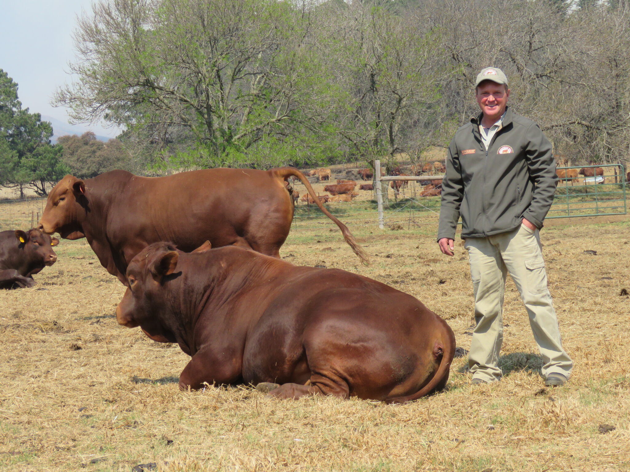 Resilience in His Roots: Mpumalanga’s 2025 Young Farmer of the Year on ...