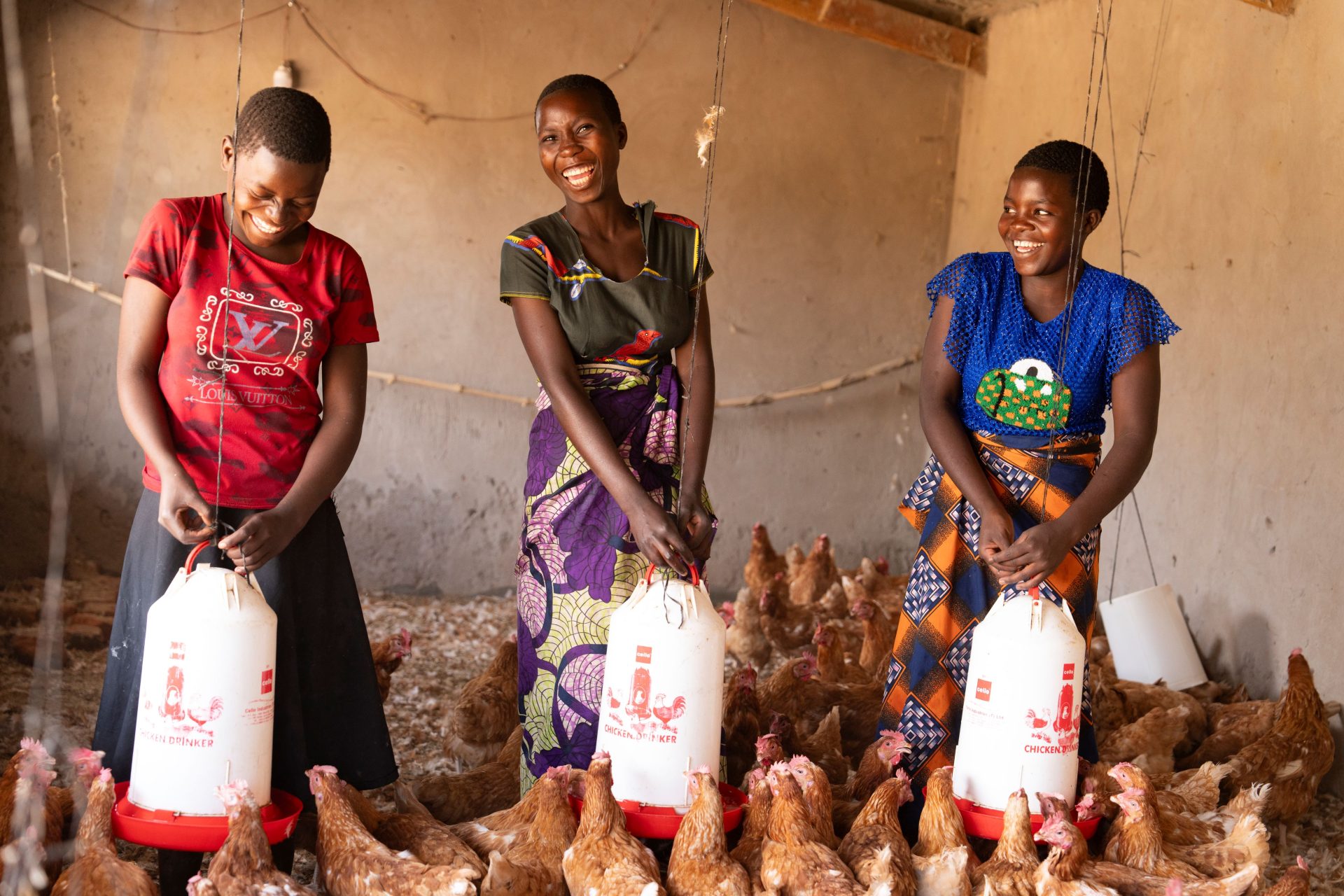 Young Women in Malawi Transform Lives Through Poultry Agribusiness and ...